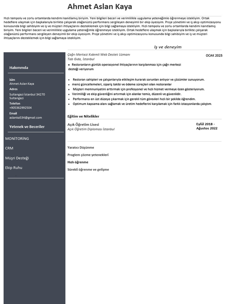 CV Ahmet Aslan Kaya #99 | PDF