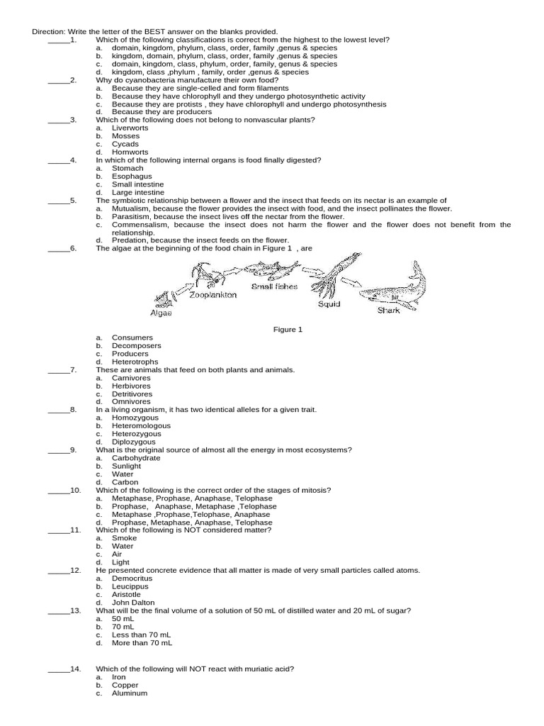 Grade 8 Science Diagnostic Test Answers | PDF | Meteoroid | Foods