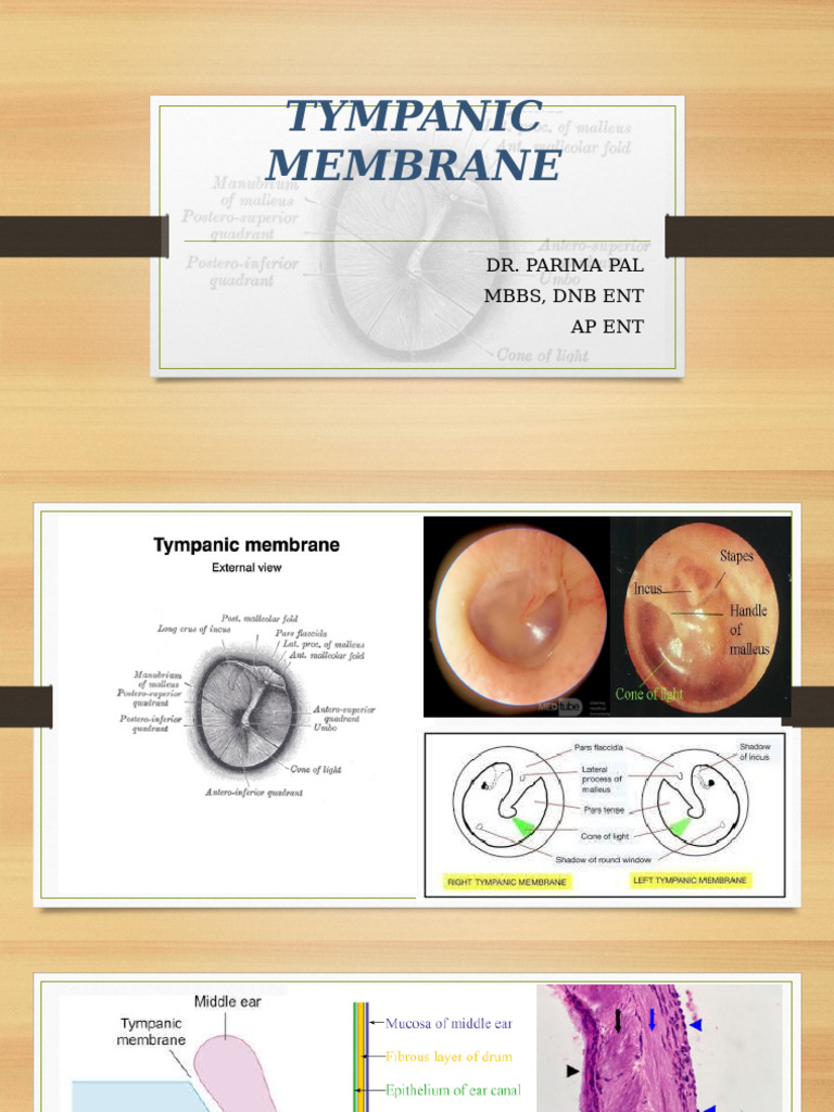 Tympanic Membrane | PDF