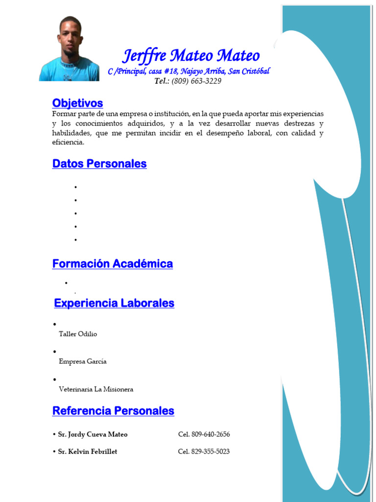 CURRICULUM de Jerffre Mateo Mateo | PDF