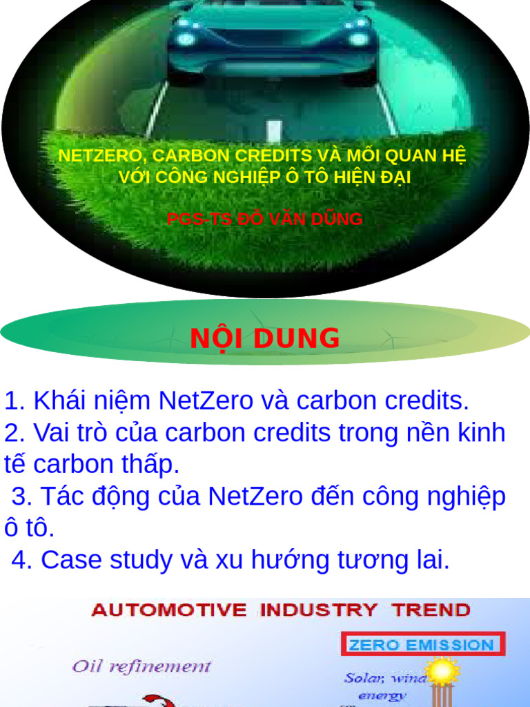Netzero | PDF
