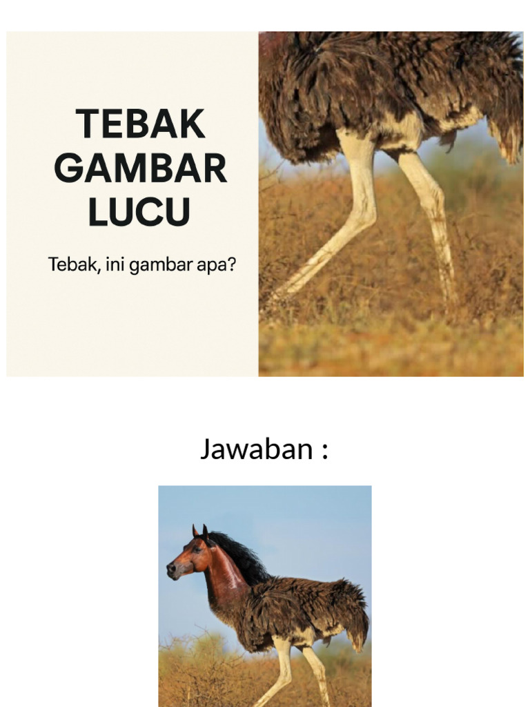 Ice Breaking Tebak Gambar Lucu | PDF