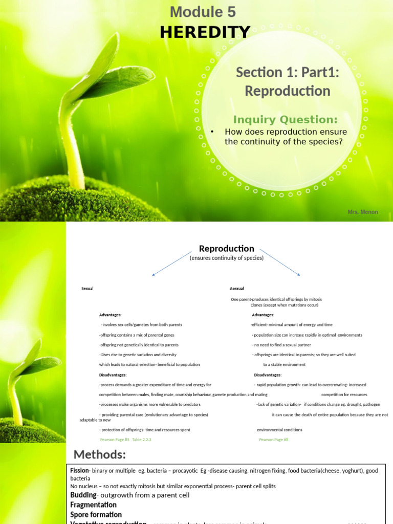 Reproduction Part 1 2024 Pdf Sexual Reproduction Reproduction