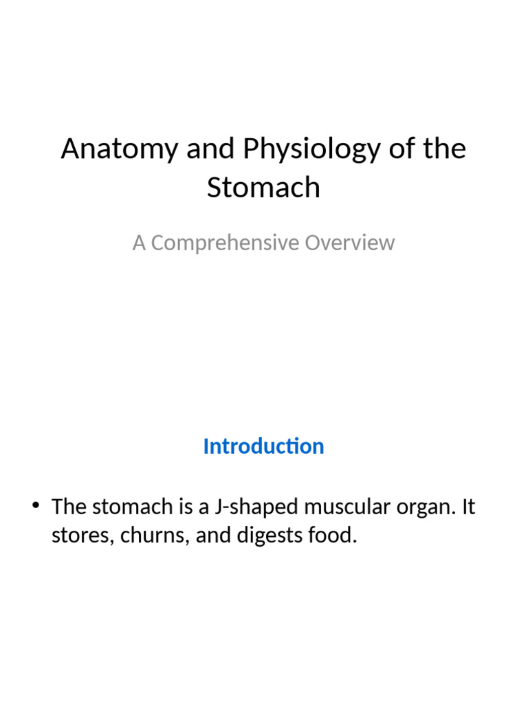 Stomach Anatomy Physiology Presentation | PDF