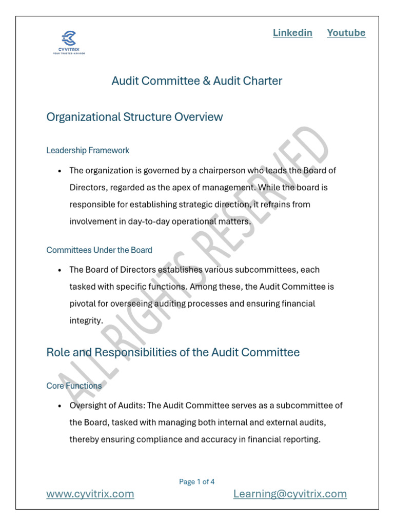 Audit Committee & Charter-Cyvitrix | PDF | Internal Audit | Audit