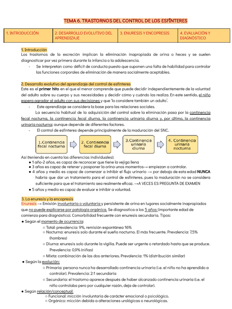 Tema 6 | PDF | Orina nocturna al dormir