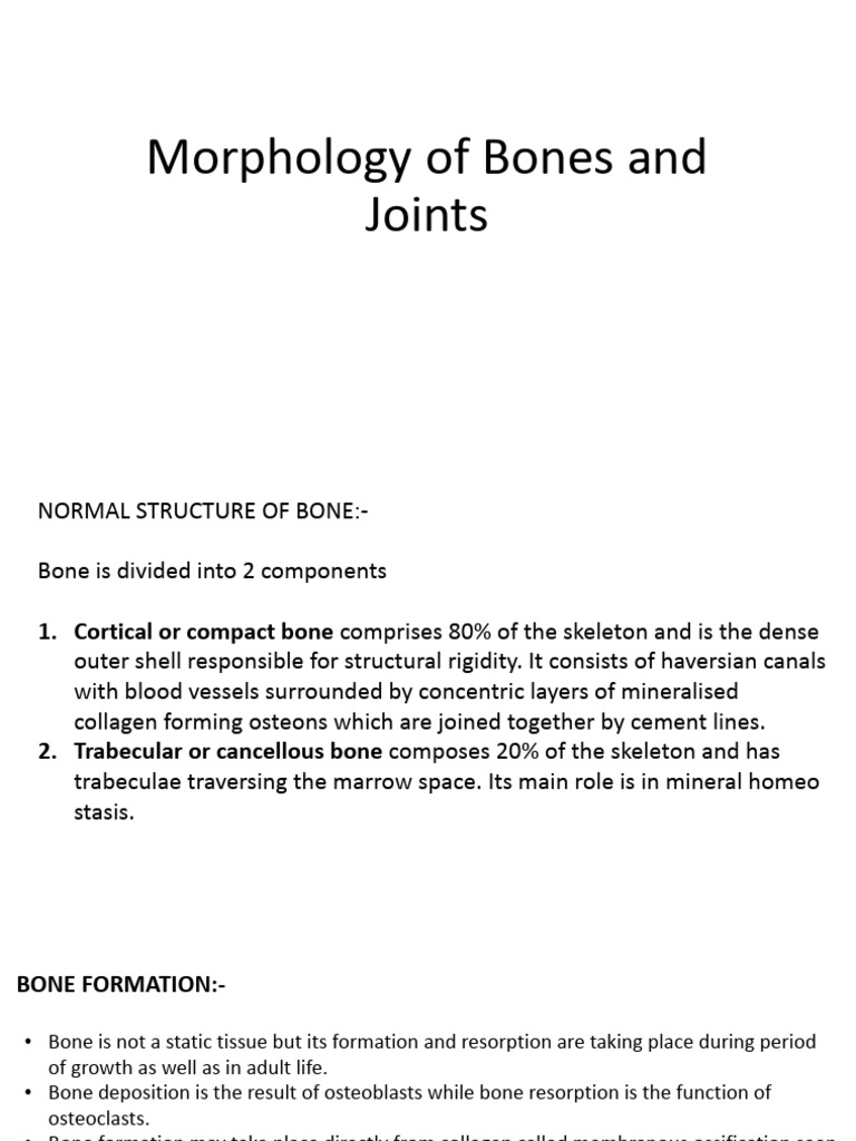 Morphology of Bones and Joints PATHO | PDF | Bone | Cartilage