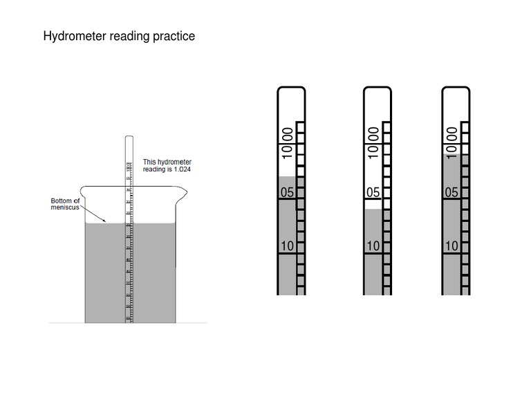 Hydrometer Reading Practice Guide | PDF