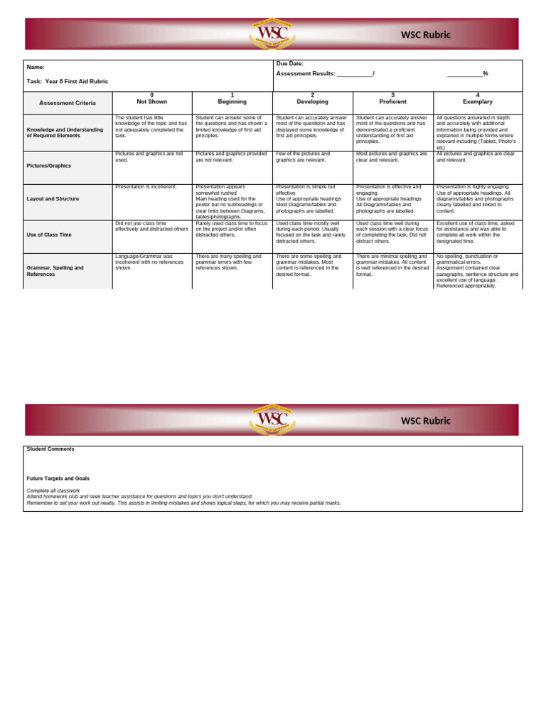 Year 8 First Aid Assessment Rubric | PDF | Graphics | Grammar