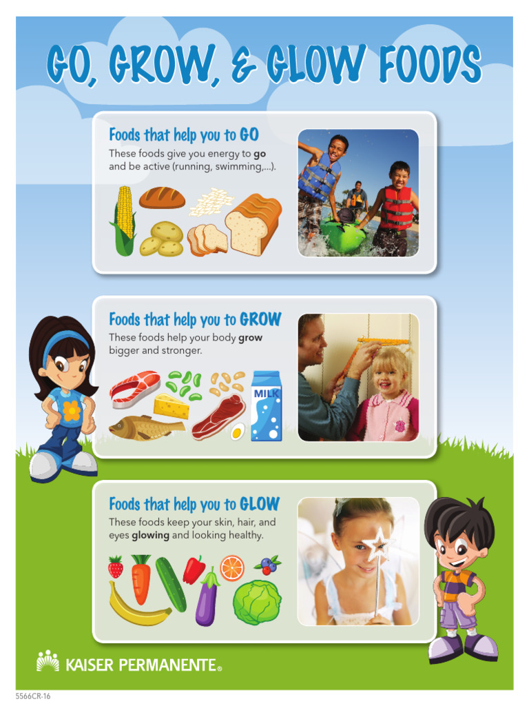 Go Grow Glow Healthy Plate Flyer Hi En | PDF