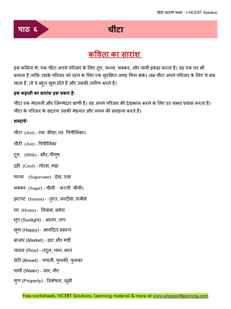 NCERT Solution Sarangi Class 2 Chapter 6 Chinta | PDF