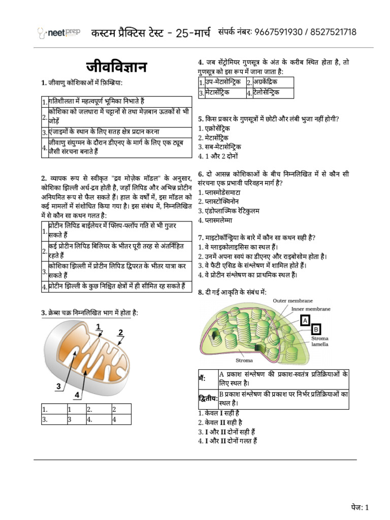 Cell Unit | PDF