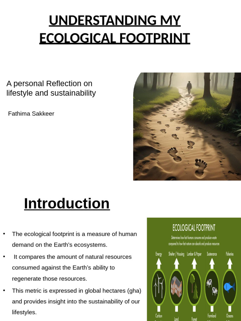 Ecological footprint | PDF