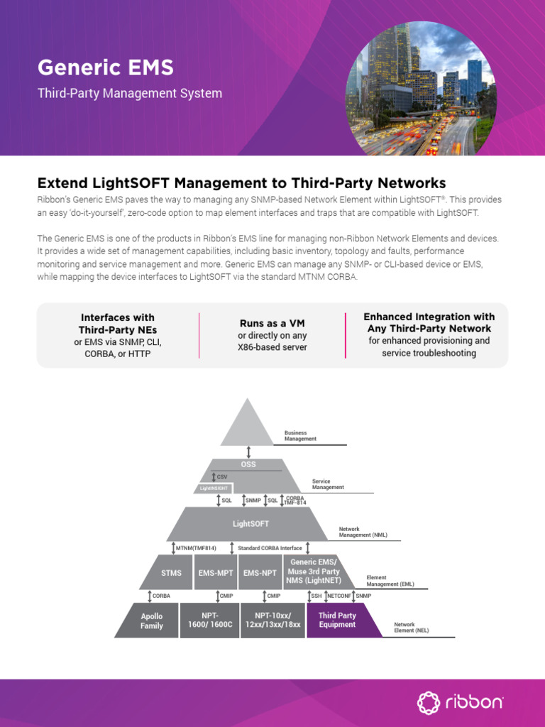BR LightSOFT Generic EMS Third-Party Management | PDF | Computer ...