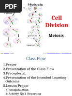 Video Recap of Meiosis by Amoeba Sisters Updated Pictures | PDF | Meiosis | Chromosome