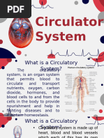 Circulatory System Assignment | PDF | Circulatory System | Blood