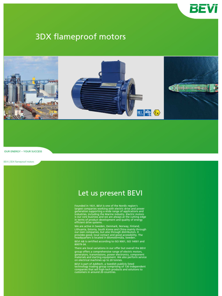 BEVI 3DX Flameproof Motors | PDF | Electric Motor | Bearing (Mechanical)