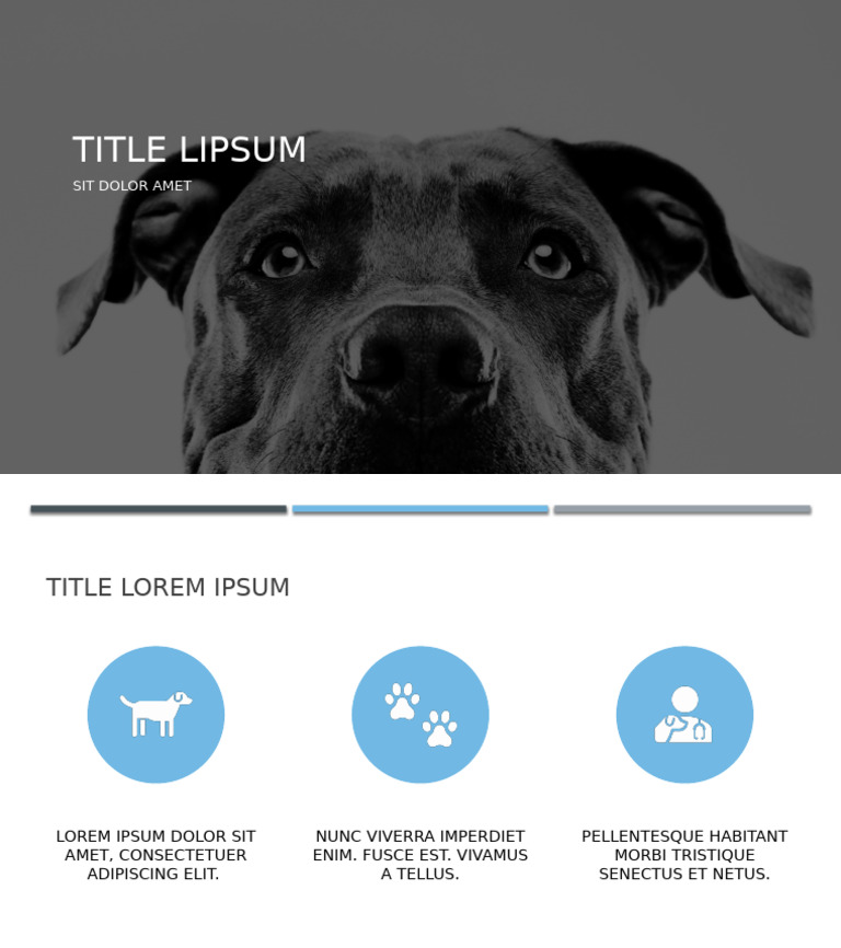 Title LIpsum | PDF
