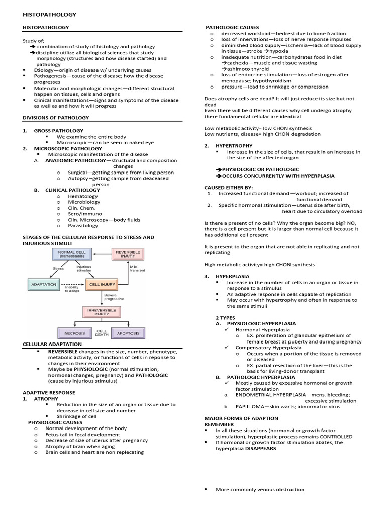 Histopathology Lec Prelim 1 | PDF | Inflammation | Necrosis