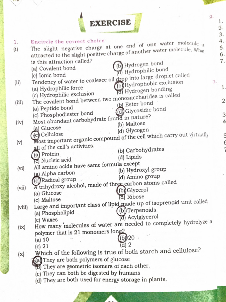 XL Bio Exercise MCQs Solved | PDF