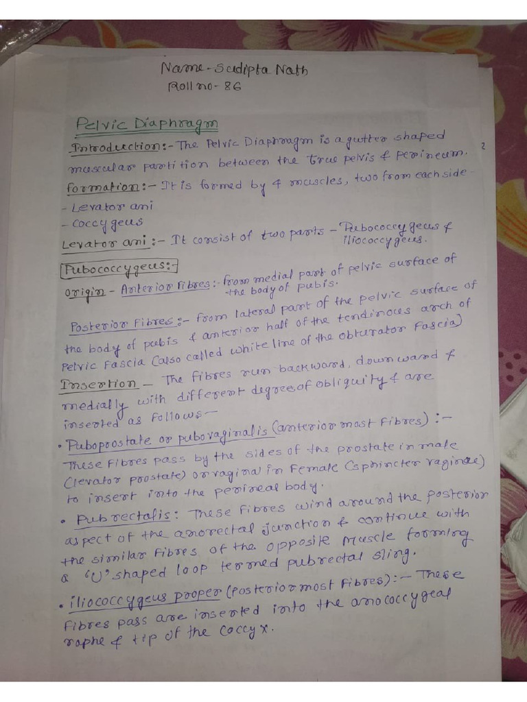 Anatomy Assignment | PDF