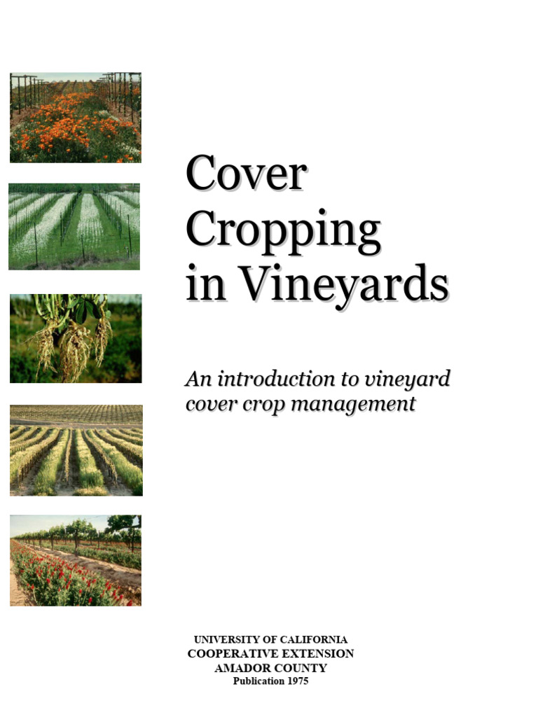 Cover Crop in Vineyard | PDF | Fertilizer | Soil