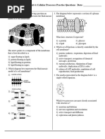 Cell Structures Gizmo - 2023 | PDF | Cell (Biology) | Organelle