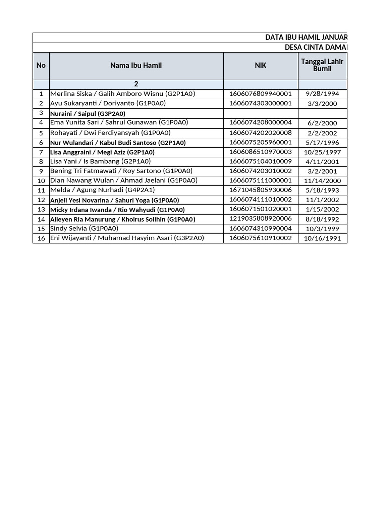 Data Ibu Hamil Tahun 2025 | PDF