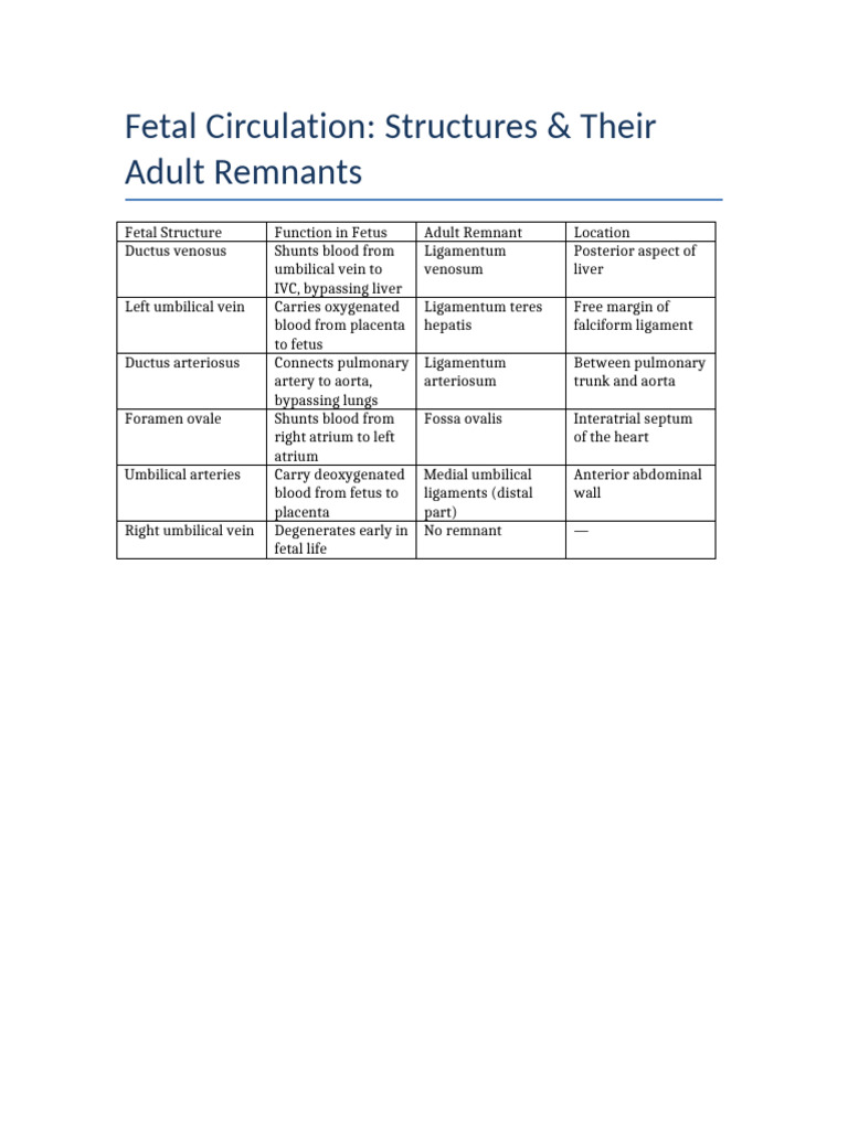 Fetal Circulation Remnants MedVerse | PDF