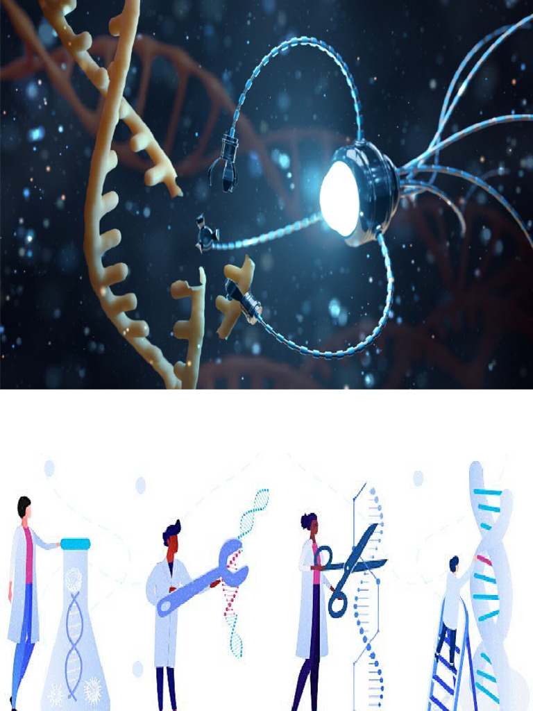 Final Genetics NEW MBBS Curriculum SSMC | PDF | Chromosome | Dominance (Genetics)