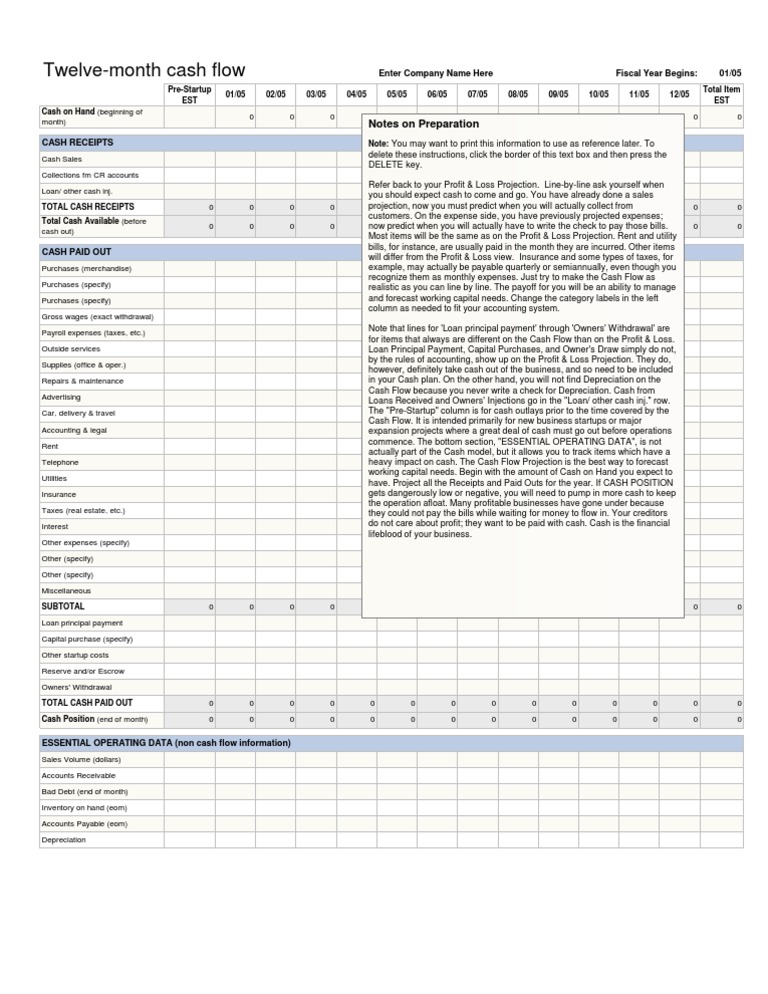 12 Month Cash Flow Statement | PDF | Expense | Money