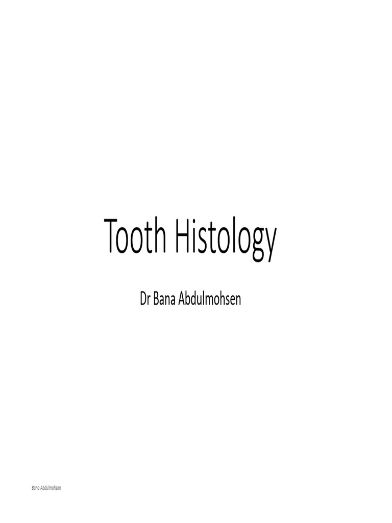 Tooth Histology Practical Slides | PDF