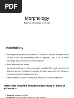 Tagmosis | PDF | Insects | Arthropodology