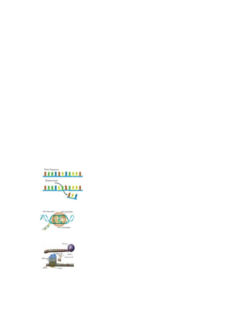 Heredity and Evolution: Key Concepts | PDF