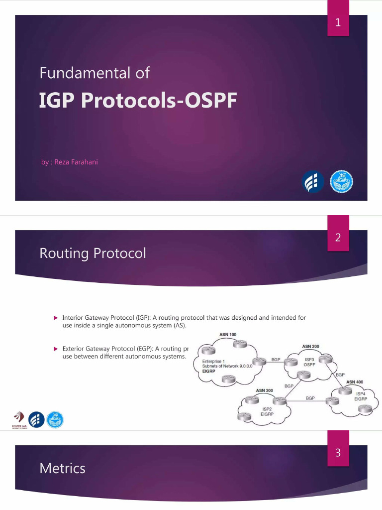 Fundamental of IGP Protocols-OSPF | PDF
