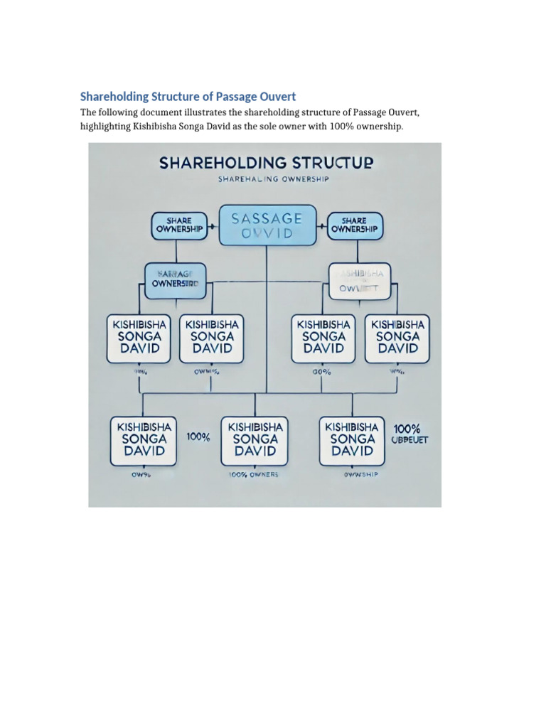 Shareholding Structure Passage Ouvert | PDF