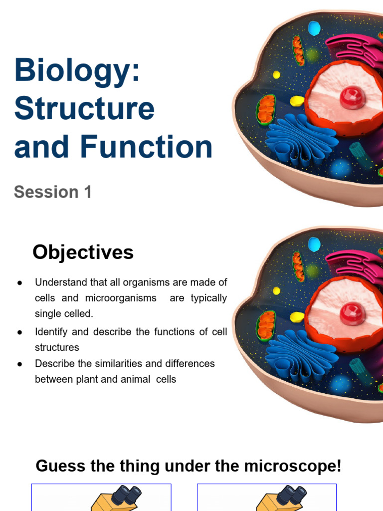 Term 1 Week 5 CS Ipa 7 Term 1 Sy 2024-2025 | PDF | Cell (Biology ...
