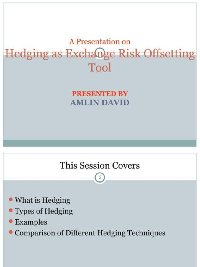 Hedging Techniques Presentation 2 | PDF