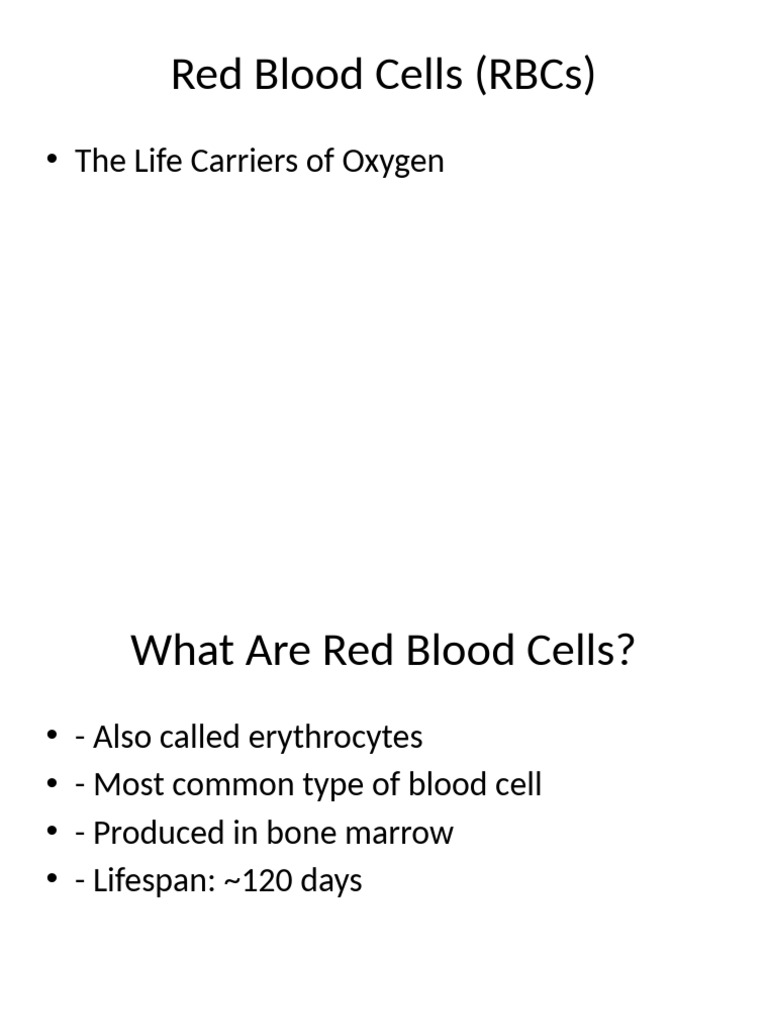 Red Blood Cells Presentation With White Wall Design | PDF
