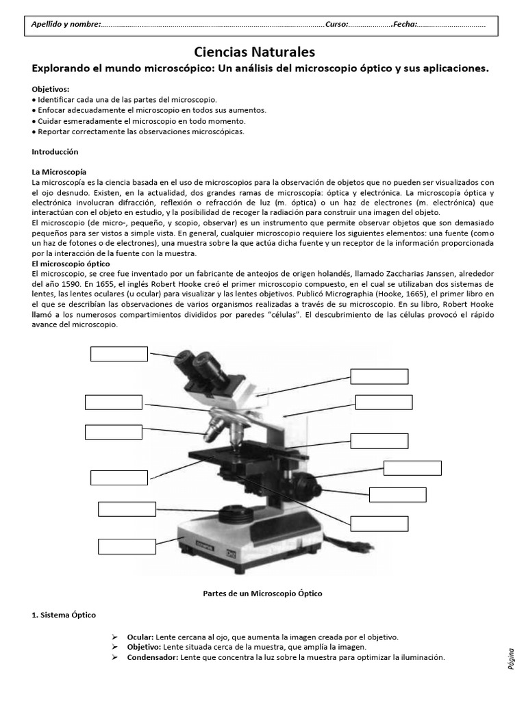 Microscopio óptico: Partes y uso eficaz | PDF | Microscopio | Óptica