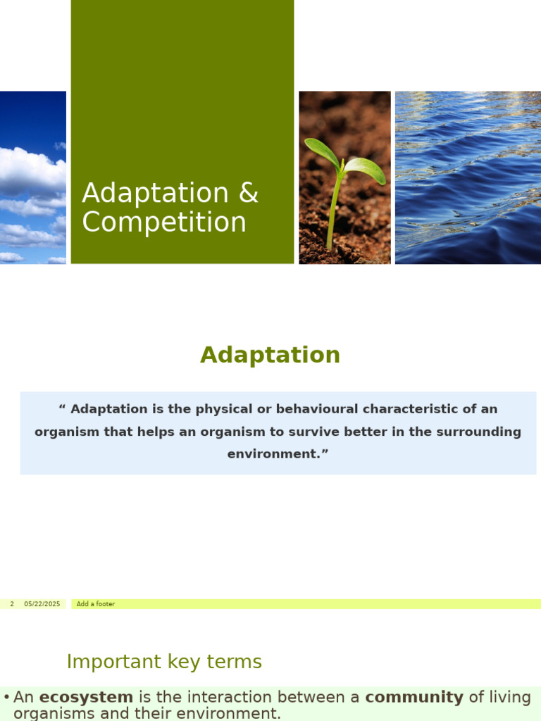 Adaptation & Competition | PDF | Ecosystem | Predation