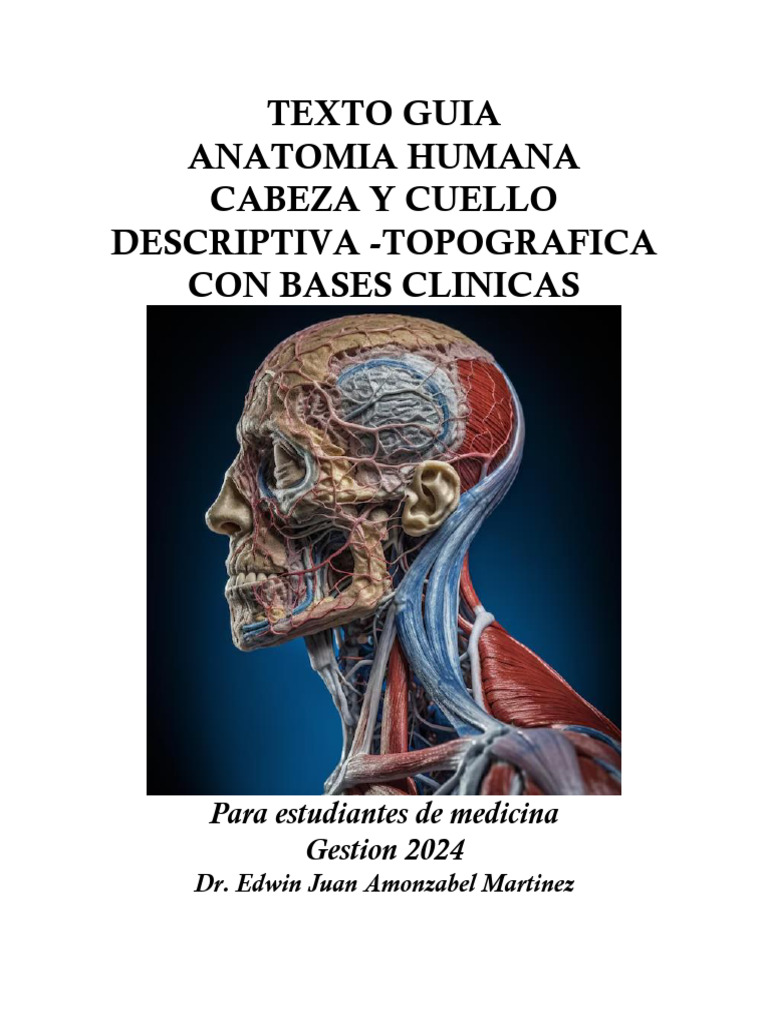 Texto Anatomia Cabeza y Cuello DR Ddwin Amonzabel 2024 | PDF | Hueso | Mano