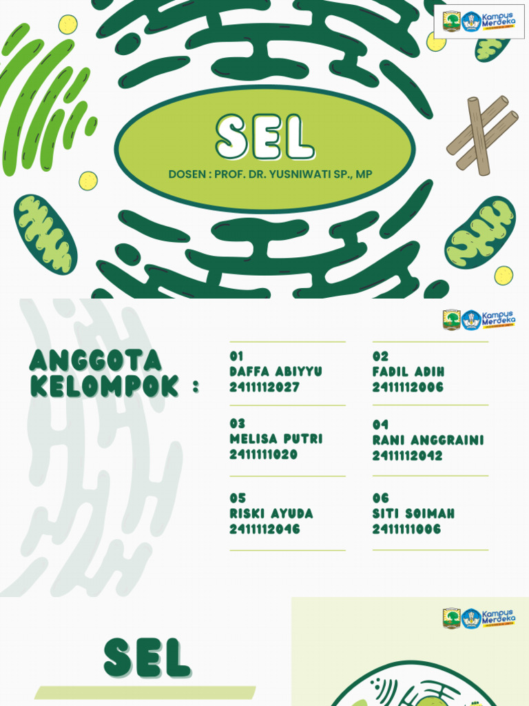 Sel Kelompok 2 | PDF