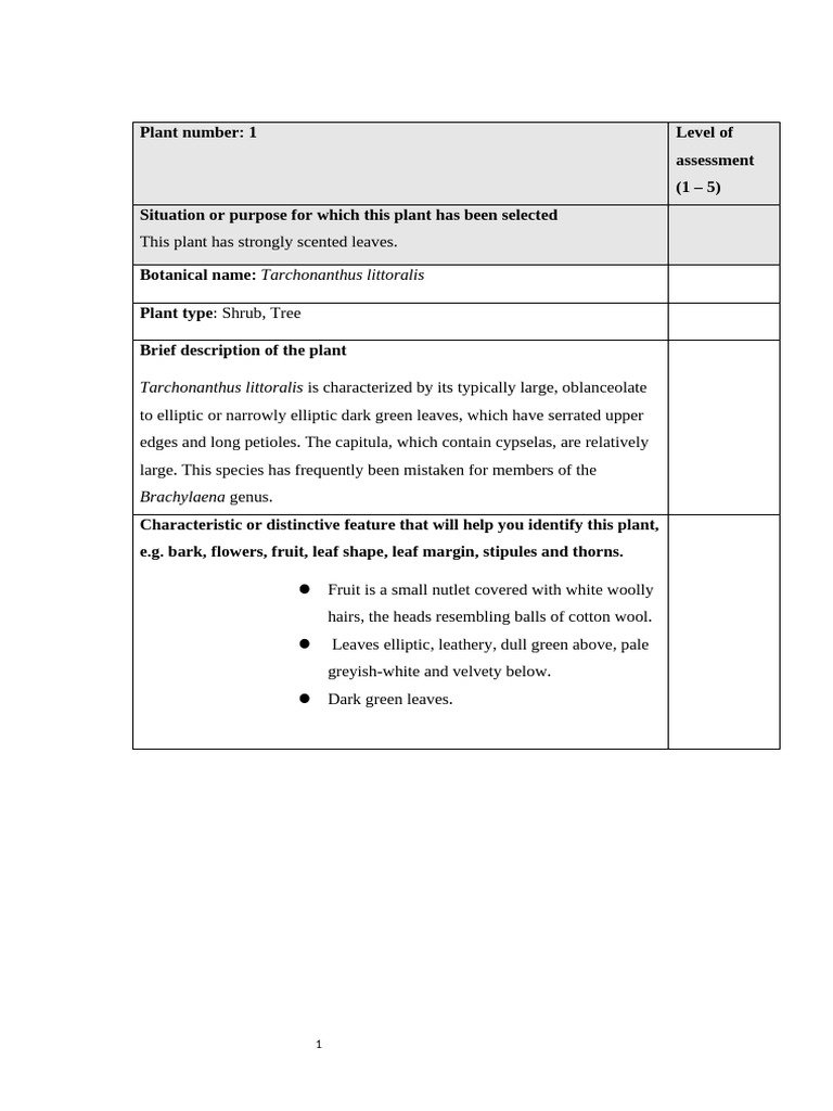 South African Plant Descriptions and Uses | PDF | Leaf | Flowers