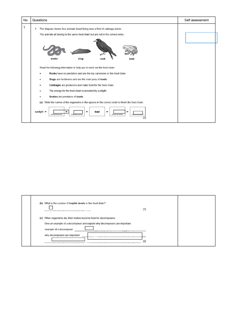 Past Paper Practice Bio (Answer Sheets) | PDF