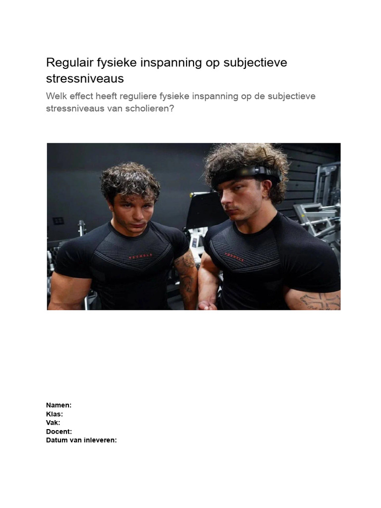 Nederlands Onderzoek Mini Pws | PDF