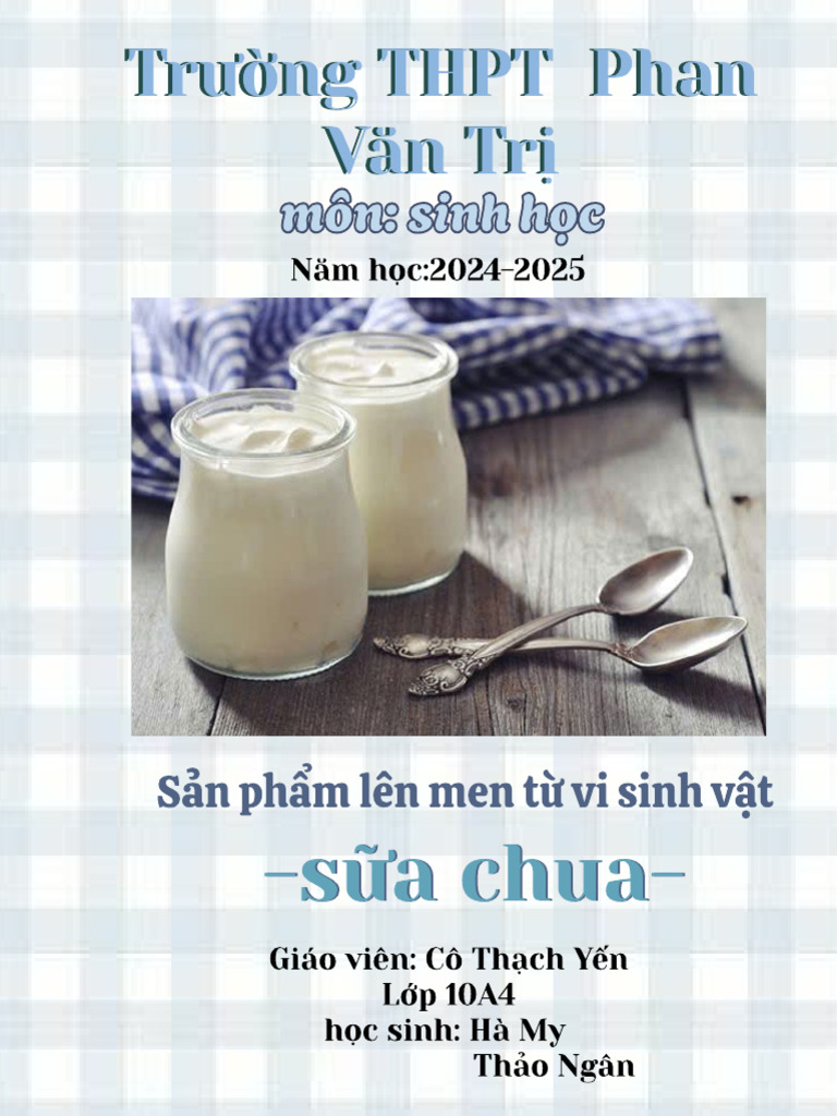 Quy Trình Làm S A Chua | PDF