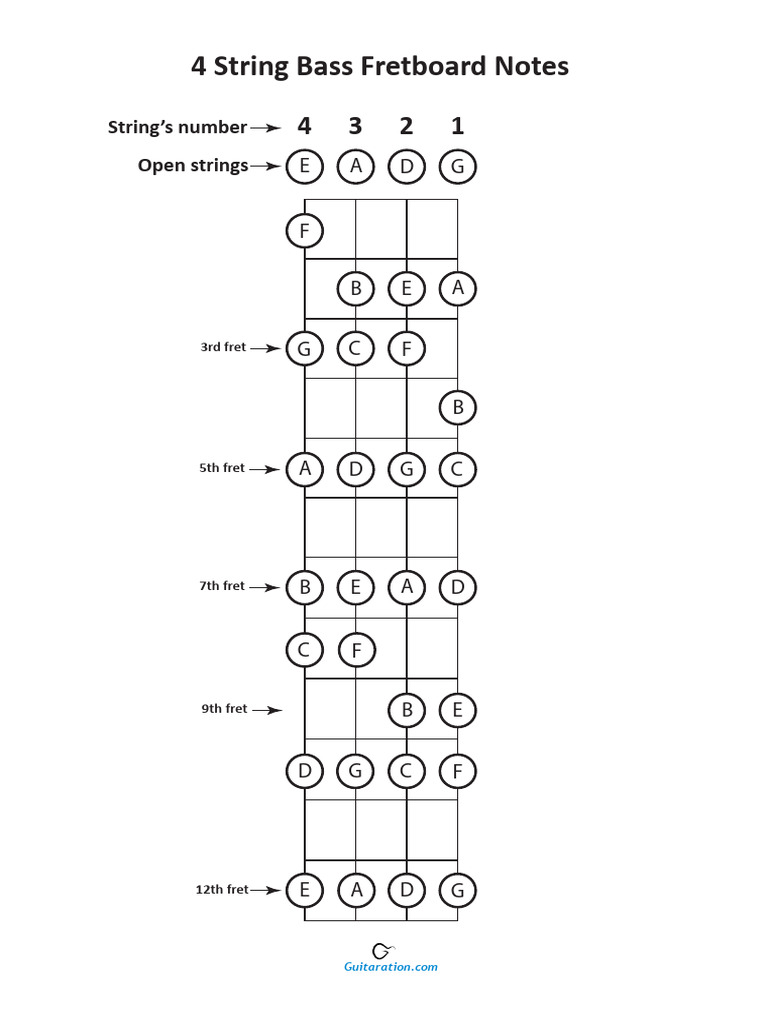 Printable Bass Guitar Fretboard Chart | PDF