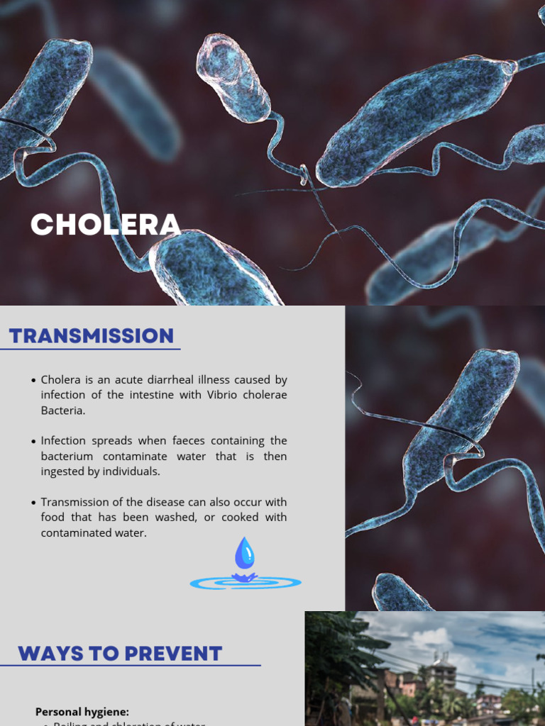 Cholera | PDF