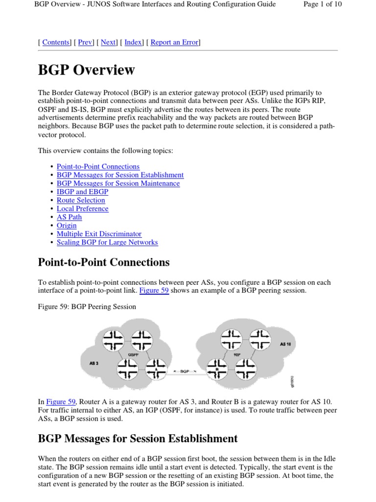 BGP Overview1 | PDF | Router (Computing) | Routing